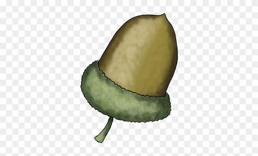 Free Acorn Clip Art - Clip Art - Full Size PNG Clipart Images Download