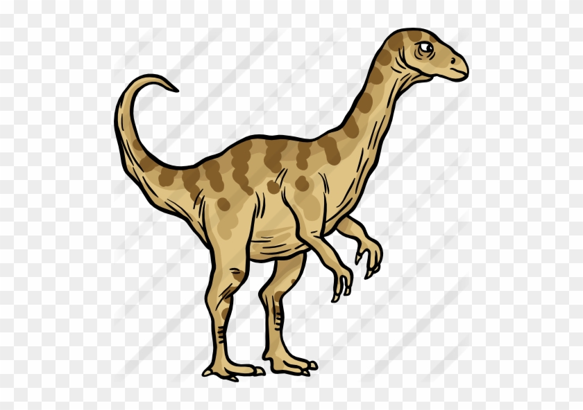Saltopus - Velociraptor - Full Size PNG Clipart Images Download