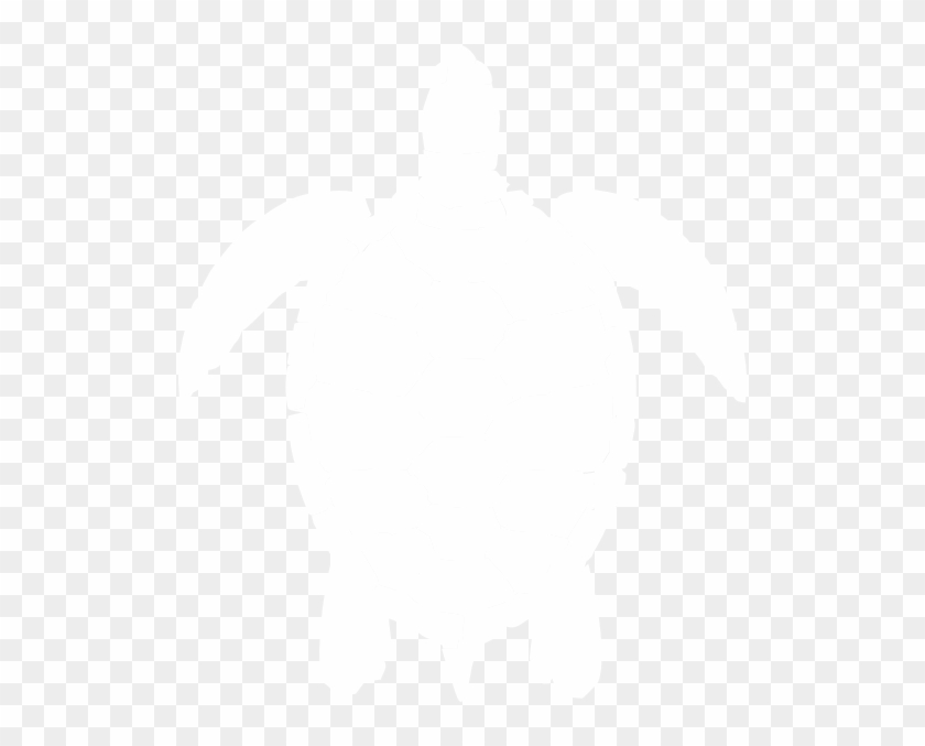 White Sea Turtle Clipart - Full Size PNG Clipart Images Download