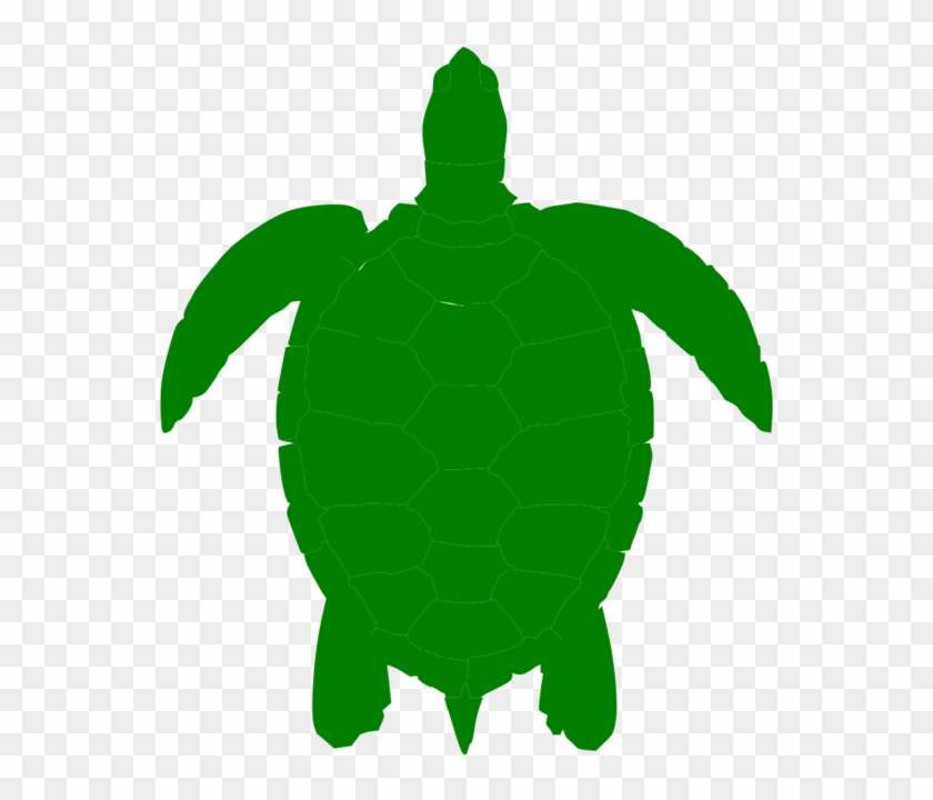 Turtle Shell Template Clipart Best Vdib2c Clipart - Green Sea Turtle ...