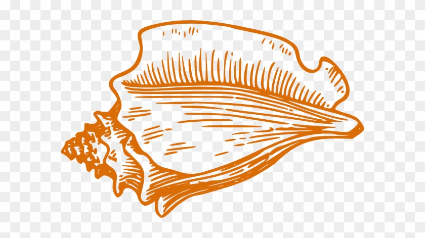 Orange Conch Shell Clip Art At Clker Com Vector Clip - Conch Shell Clip ...