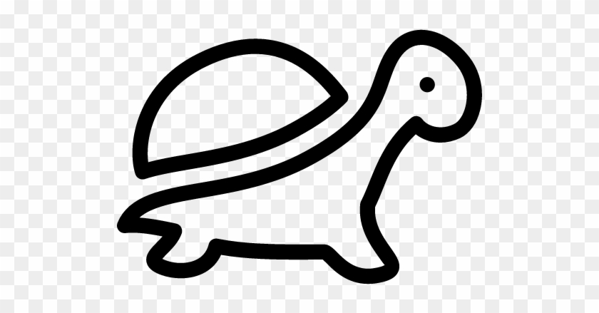 Turtle Icon - Turtle Icon - Full Size PNG Clipart Images Download