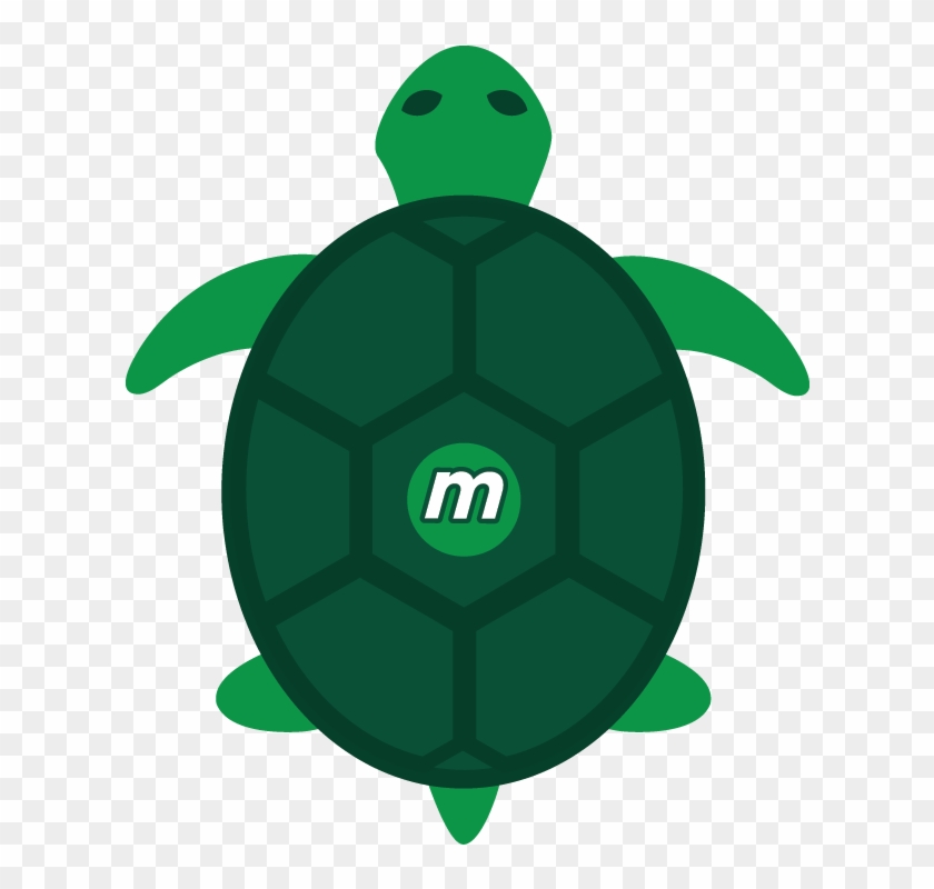 Totally Tubular Turtles - Cartoon - Free Transparent PNG Clipart Images ...