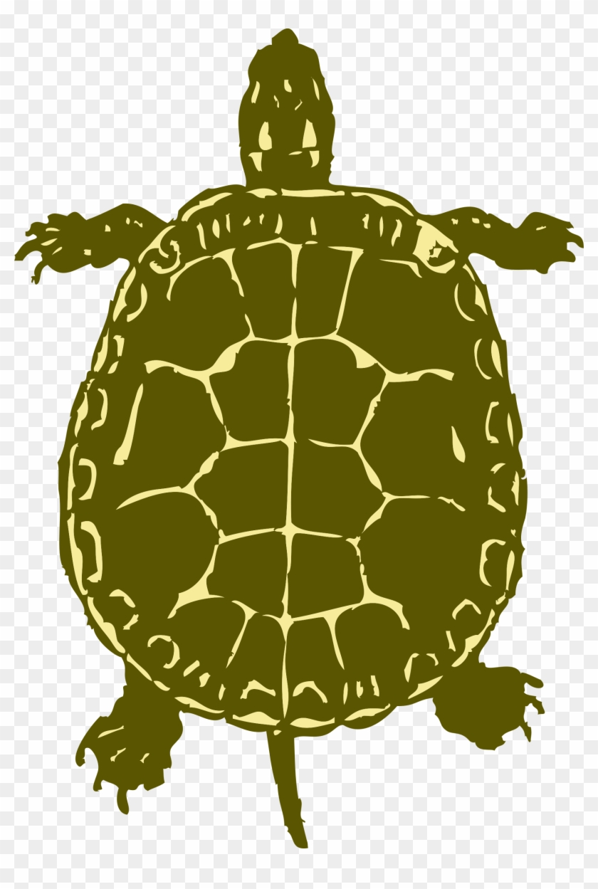 Sea Turtle Clipart Snapping Turtle - Turtle Bird Eye View - Full Size PNG Clipart Images Download