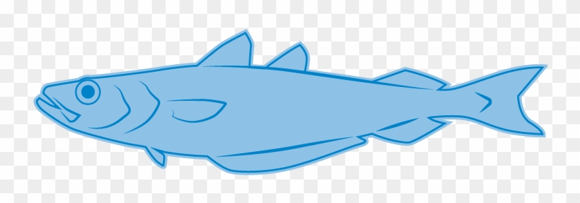 Blue Whiting - Blue Whiting - Free Transparent PNG Clipart Images Download