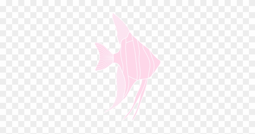 Pink Angel Fish Clip Art At Clker - Illustration - Full Size PNG ...