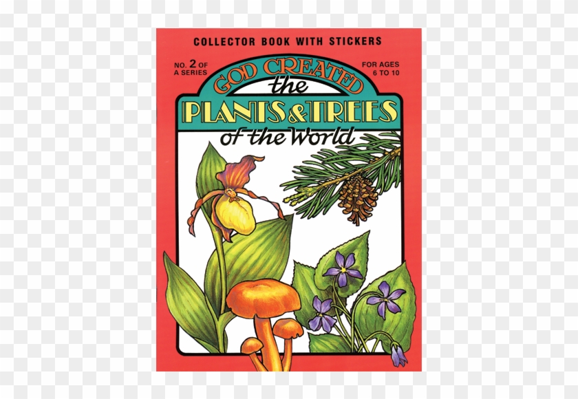 God Created The Plants/trees Of The World - God Created The Plants ...