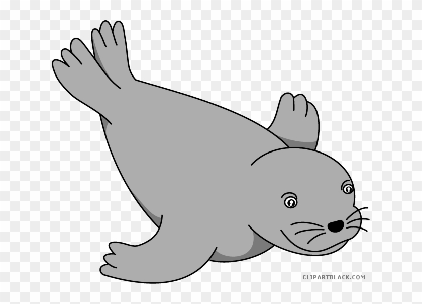 Seal Animal Free Black White Clipart Images Clipartblack - Clip Art ...