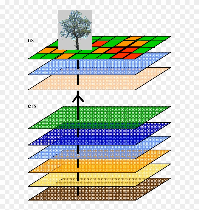 Winds Model Layers - Tree - Full Size PNG Clipart Images Download