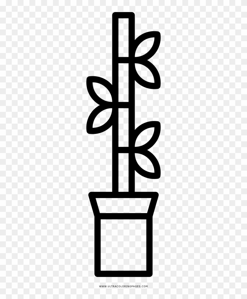 Bamboo Coloring Page - Bambu Para Colorear - Full Size PNG Clipart ...