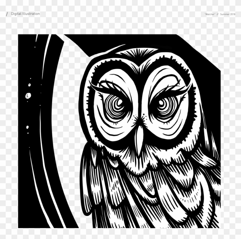 Night Owl - Illustration - Free Transparent PNG Clipart Images Download