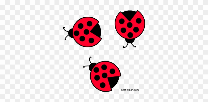 Free Ladybugs Clip Art Png Image - Video Camera Clip Art - Full Size ...