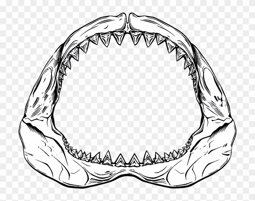 Depositphotos 7307828 Shark Jaw - Shark Jaw Drawing - Full Size PNG ...