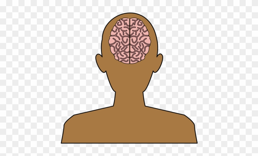 Body And Brain - Illustration - Free Transparent PNG Clipart Images ...