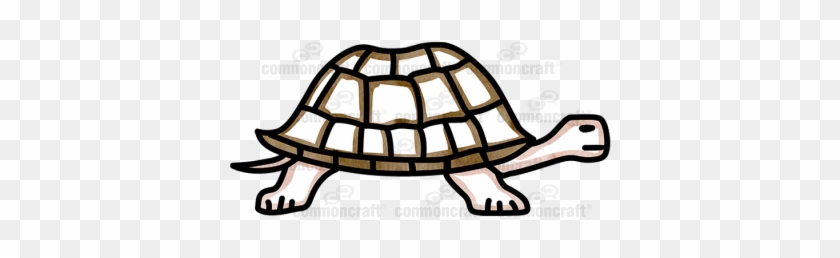 Turtle - Box Turtle - Full Size PNG Clipart Images Download