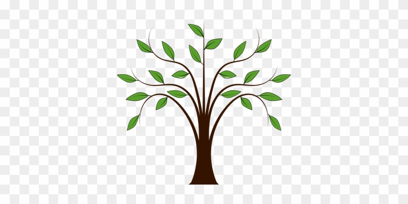 Forest Leaves Nature Plant Spring Tree Lea - Tree Free Clip Art - Full ...
