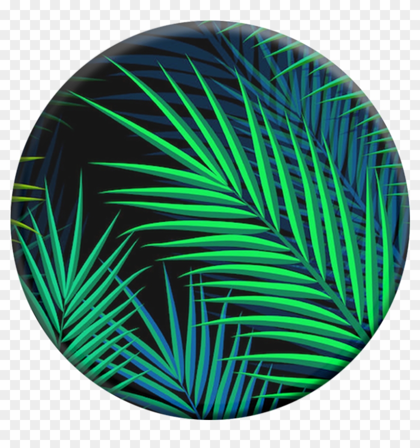 Midnight Palms - Popsockets - Free Transparent PNG Clipart Images Download
