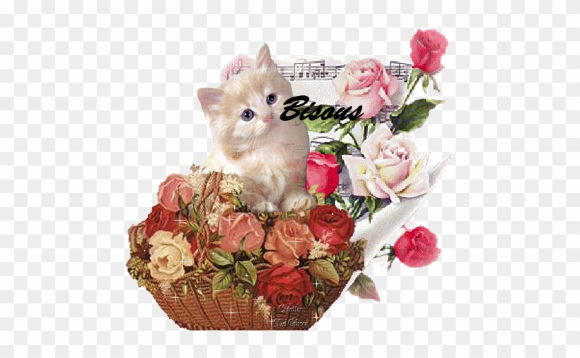 Rosy Cat,needlework Home Decoration Diamond Painting - Free Transparent ...