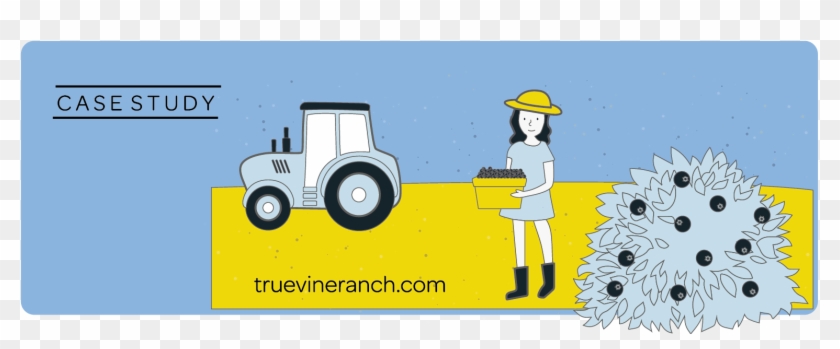 Case Study - Full Size PNG Clipart Images Download