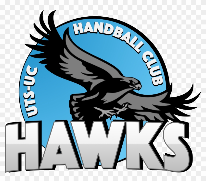 Golden Hawk Bird Clip Art - Free Transparent PNG Clipart Images Download