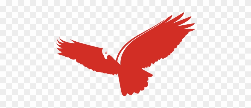 Golden Hawk Bird Clip Art - Free Transparent PNG Clipart Images Download