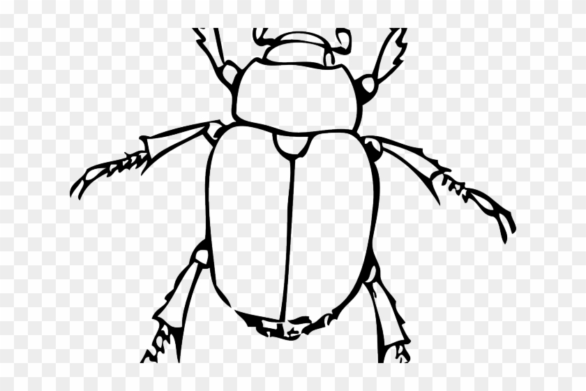 Insect Clipart Black And White - Bug Line Drawing - Full Size PNG ...