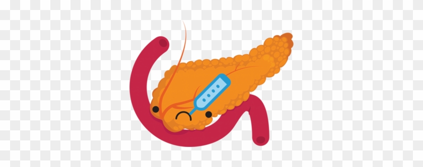 Pancreas - Cartoon Pancreas - Full Size PNG Clipart Images Download