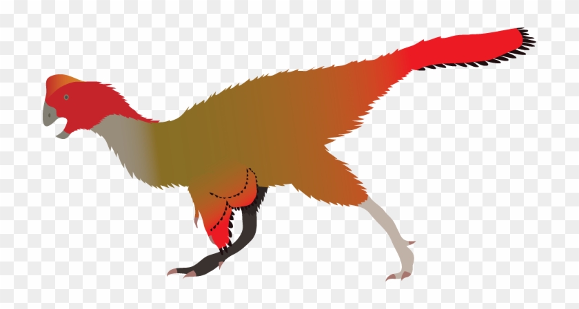 Apatoraptor Pennatus By Lythronax-argestes - Lythronax - Full Size PNG ...
