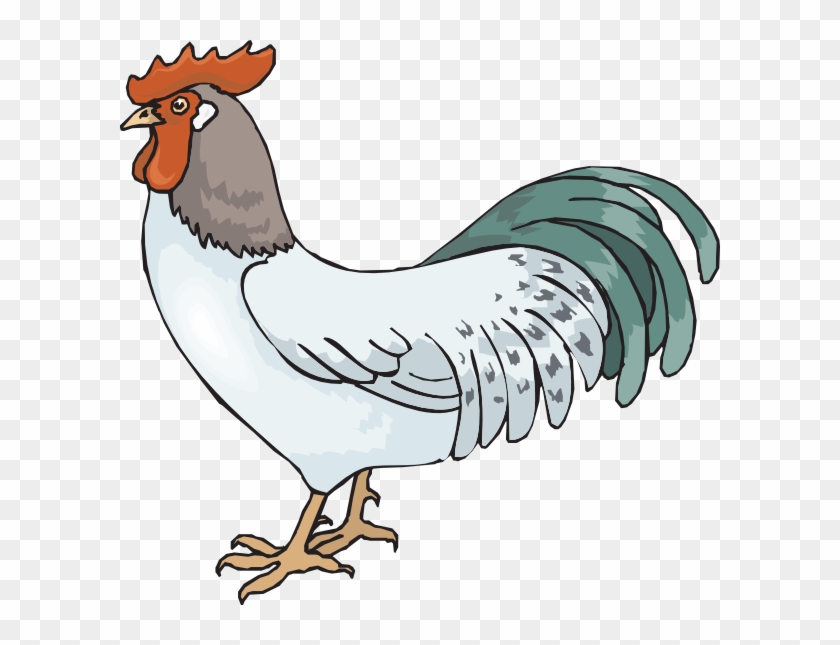 Farm Rooster Clip Art - Rooster Clipart - Full Size PNG Clipart Images ...