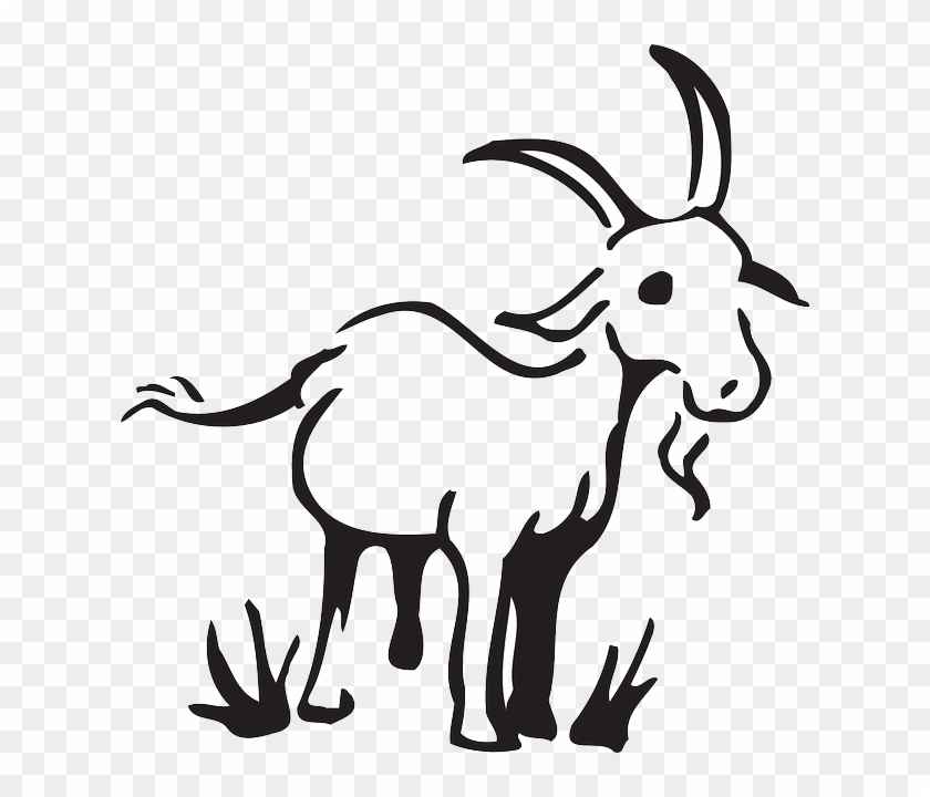 Outline, Barn, Farm, Grass, Goat, Art, Standing, Animal - Free Clip Art ...
