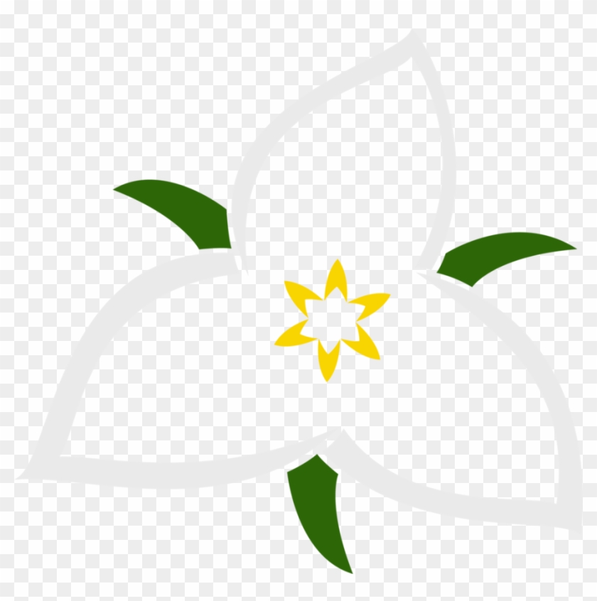 Trillium - Free Transparent PNG Clipart Images Download