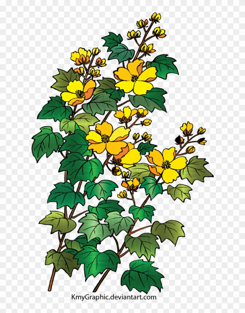 Flowers* By Kmygraphic - Flowers* By Kmygraphic - Free Transparent PNG ...