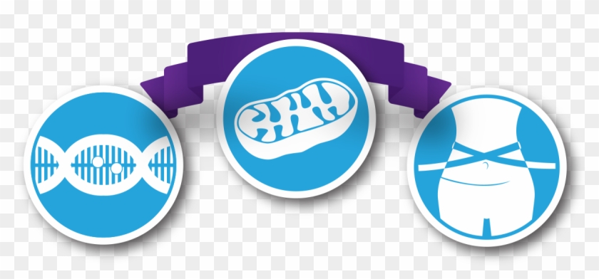 Intersect 4 Life Methylation, Mitochondria, Amp Metabolism - Emblem ...
