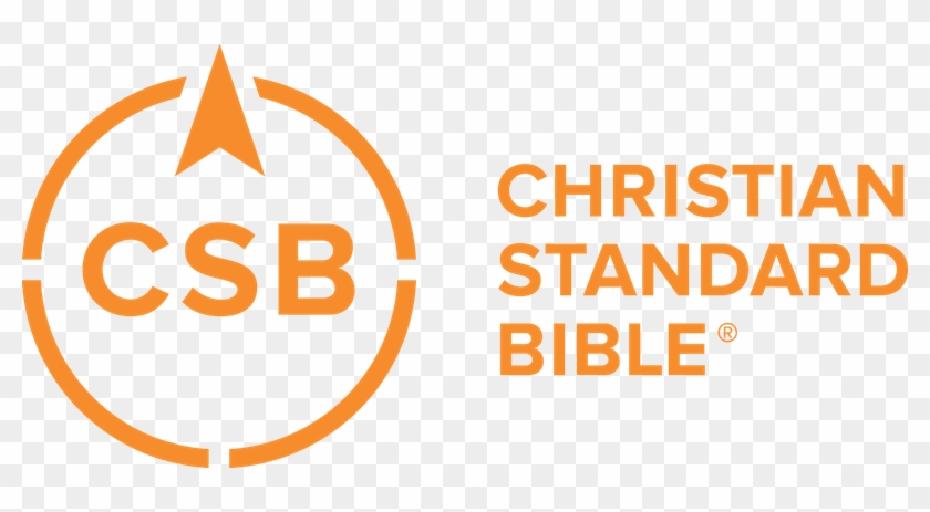 U - S - Edition - Csb Essential Teen Study Bible, Personal Size, Gray ...