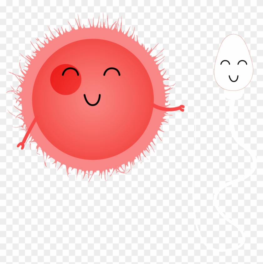 Circle Painting - Vector Circle - Circle Painting - Vector Circle ...