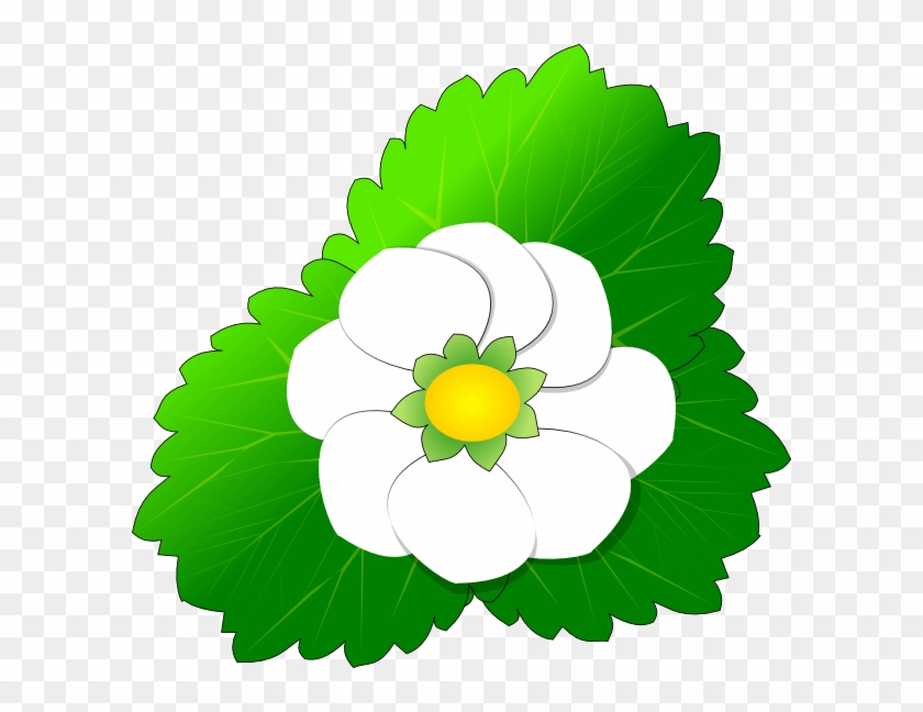 Strawberry Flower Clip Art At Clker - Clip Art - Free Transparent PNG ...