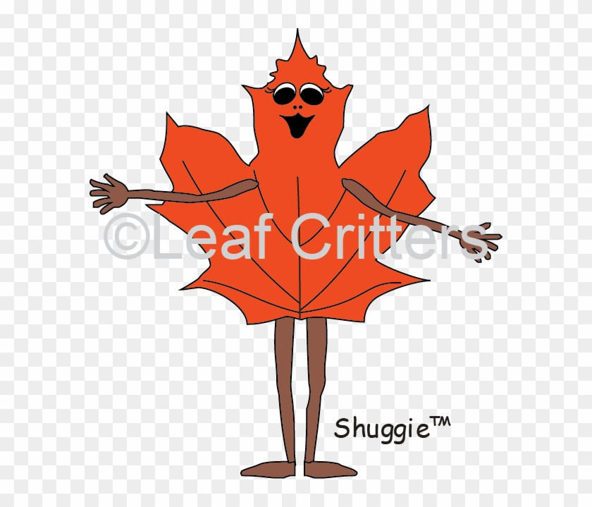 The Maple Leaf - Illustration - Free Transparent PNG Clipart Images ...