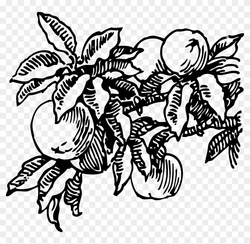 Peach Trees Black And White - Full Size PNG Clipart Images Download