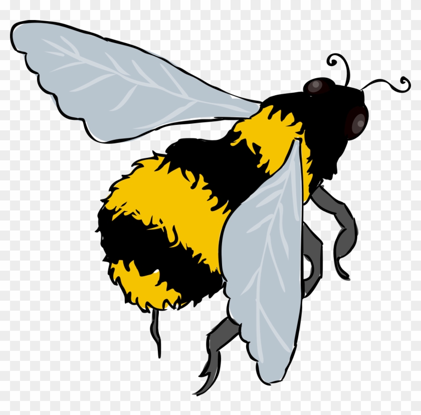 Insect - Free Transparent PNG Clipart Images Download
