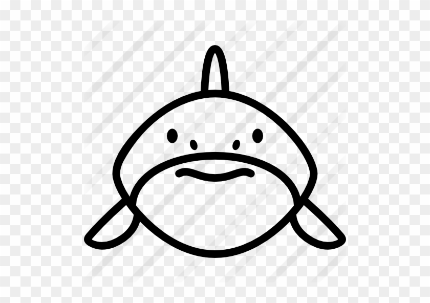 Shark Shark Free Transparent Png Clipart Images Download