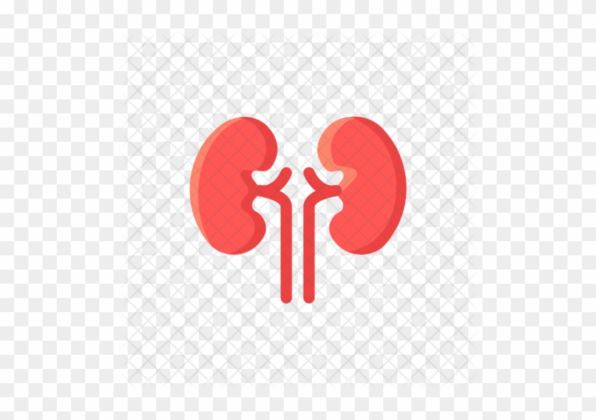 Kidney, Organ, Health, Medical, Renal, Kidnies Icon - Kidney Icon Red ...