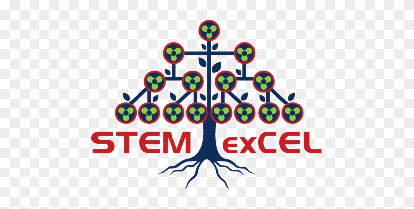 Stem Excel Winter 2018 Classes - Stem Excel - Full Size PNG Clipart ...