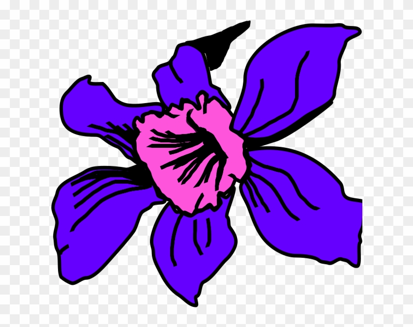 Orquidea Colombia - Orquidea Animada Png - Full Size PNG Clipart Images ...