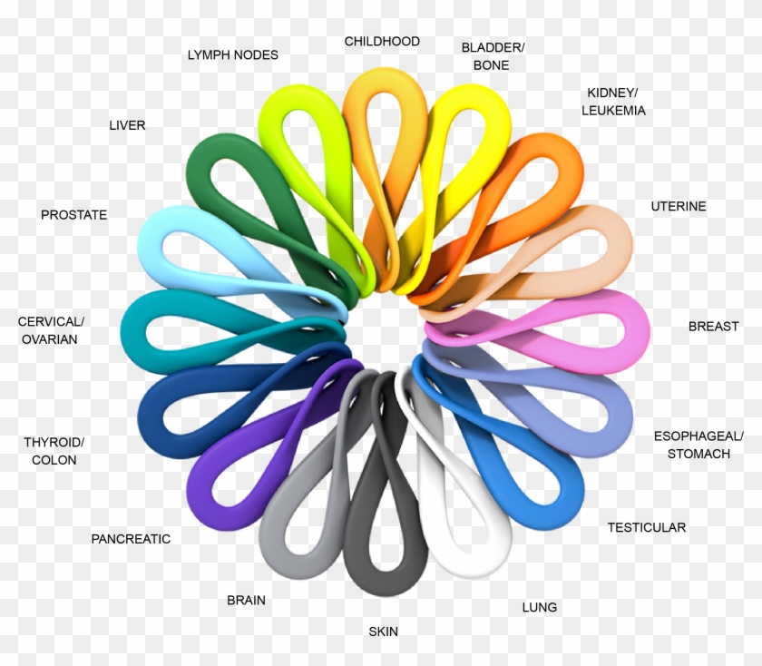 Cancer Color Wheel - Prima Medika Hospital - Full Size PNG Clipart ...