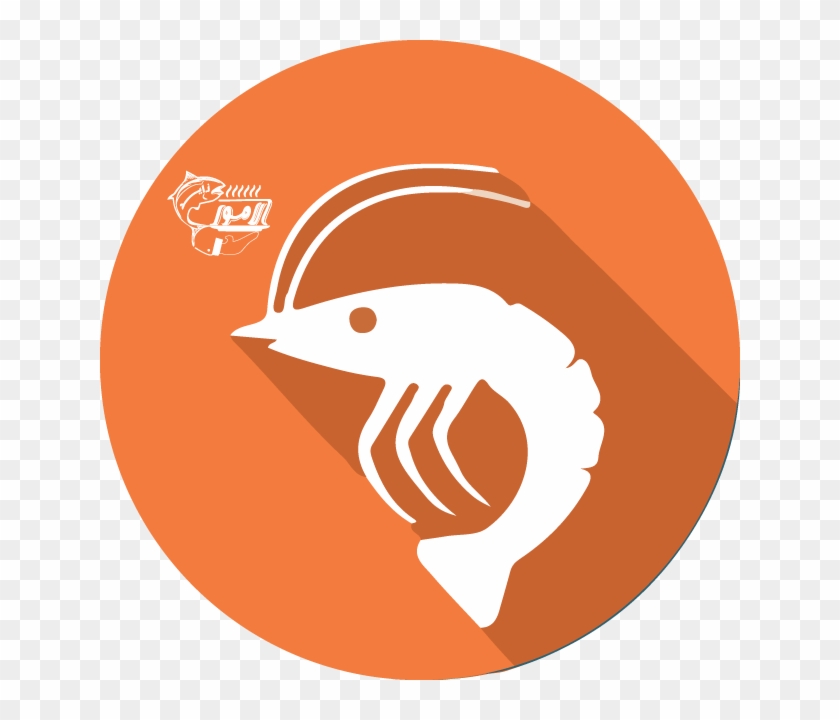 Kishk With Shrimp - Kashk - Free Transparent PNG Clipart Images Download