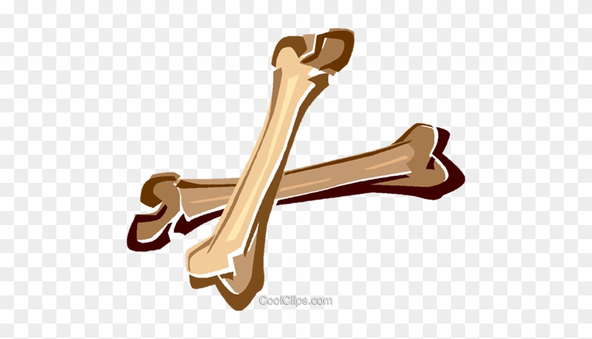 Human Bones Royalty Free Vector Clip Art Illustration - Clip Art - Full ...