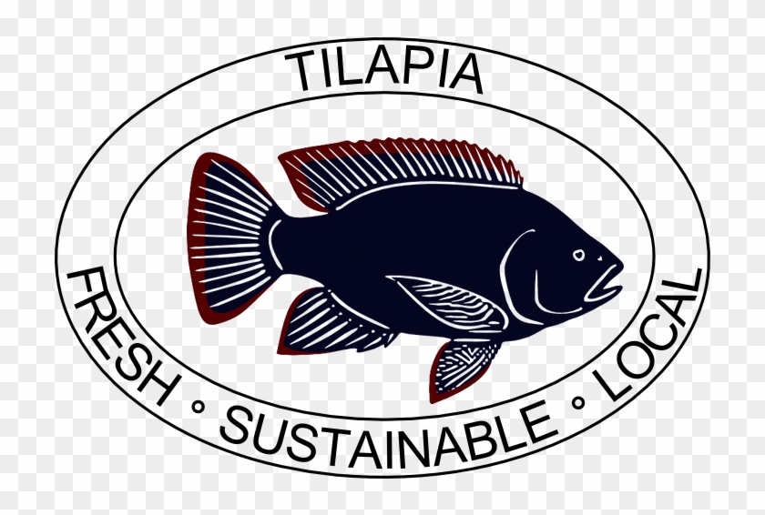 Tilapia Logo - Full Size PNG Clipart Images Download