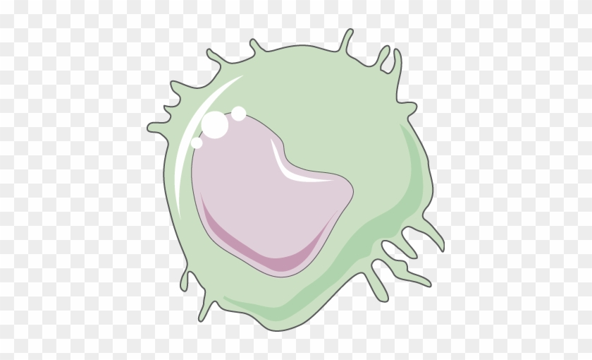 Monocyte - Illustration - Full Size PNG Clipart Images Download