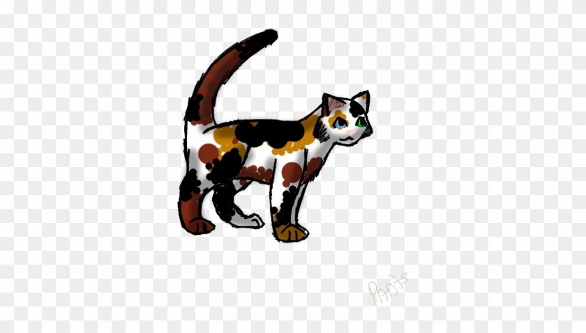 Calico By Flame The Rogue - Domestic Short-haired Cat - Full Size PNG ...