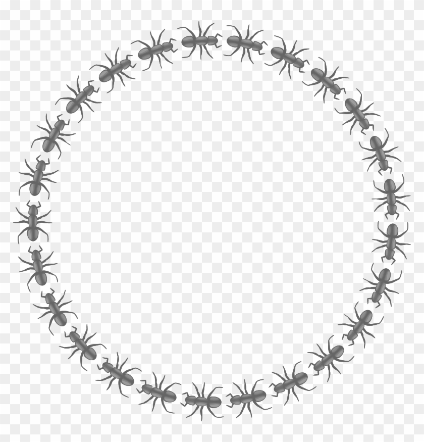 Medium Image - Circle Border Design Black And White - Full Size PNG ...